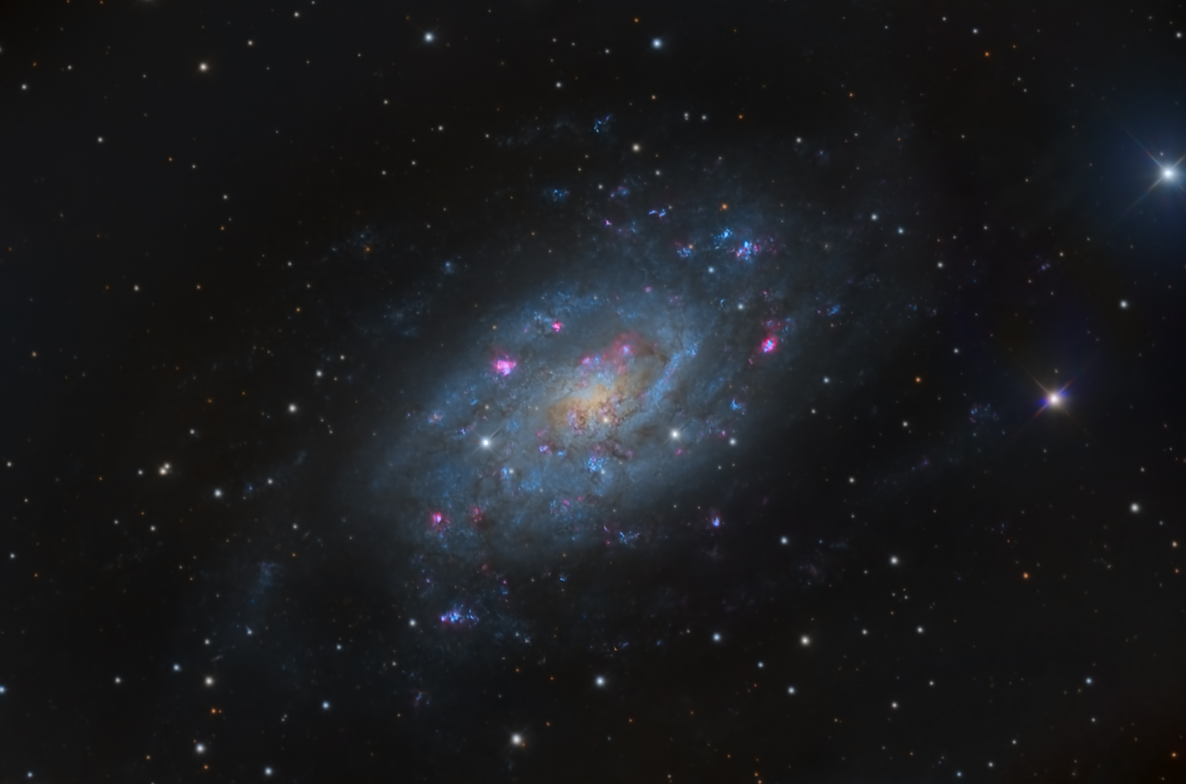 NGC 2403 | Telescope Live